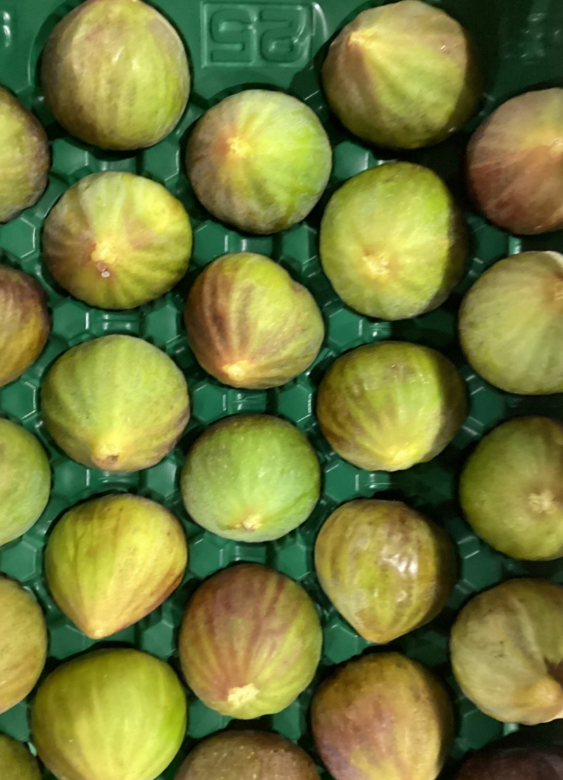 Discover Country Pak Fresh Vegetable & Fruit Gallery